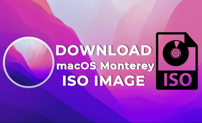 Download macOS Monterey ISO Image - Latest Version - TechSpite